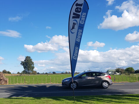 Flag Banners | Promotional Graphics | River City Signs - Hamilton